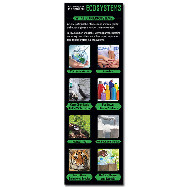 Ecosystems Giant Banner – Creative Teaching Press