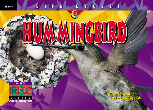 Hummingbird – Creative Teaching Press