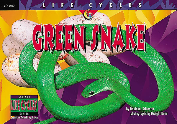 Green Snake – Creative Teaching Press